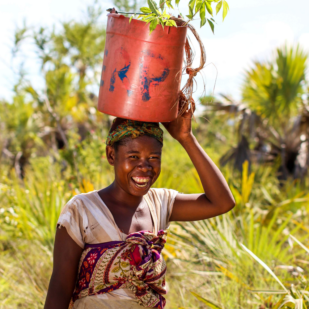 Forgot A Special Occasion? Ohh Deer | Cards - Gifts - Stationery