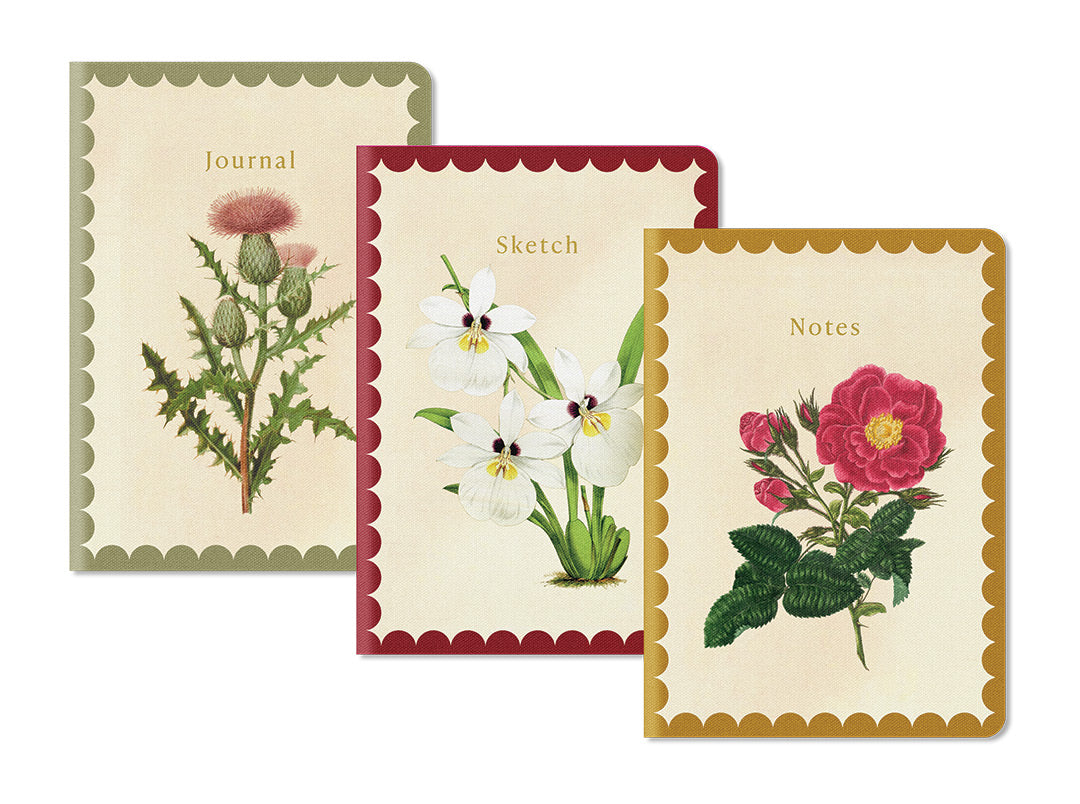 Natural World | 3x Stitched B6 Notebook Set – Ohh Deer