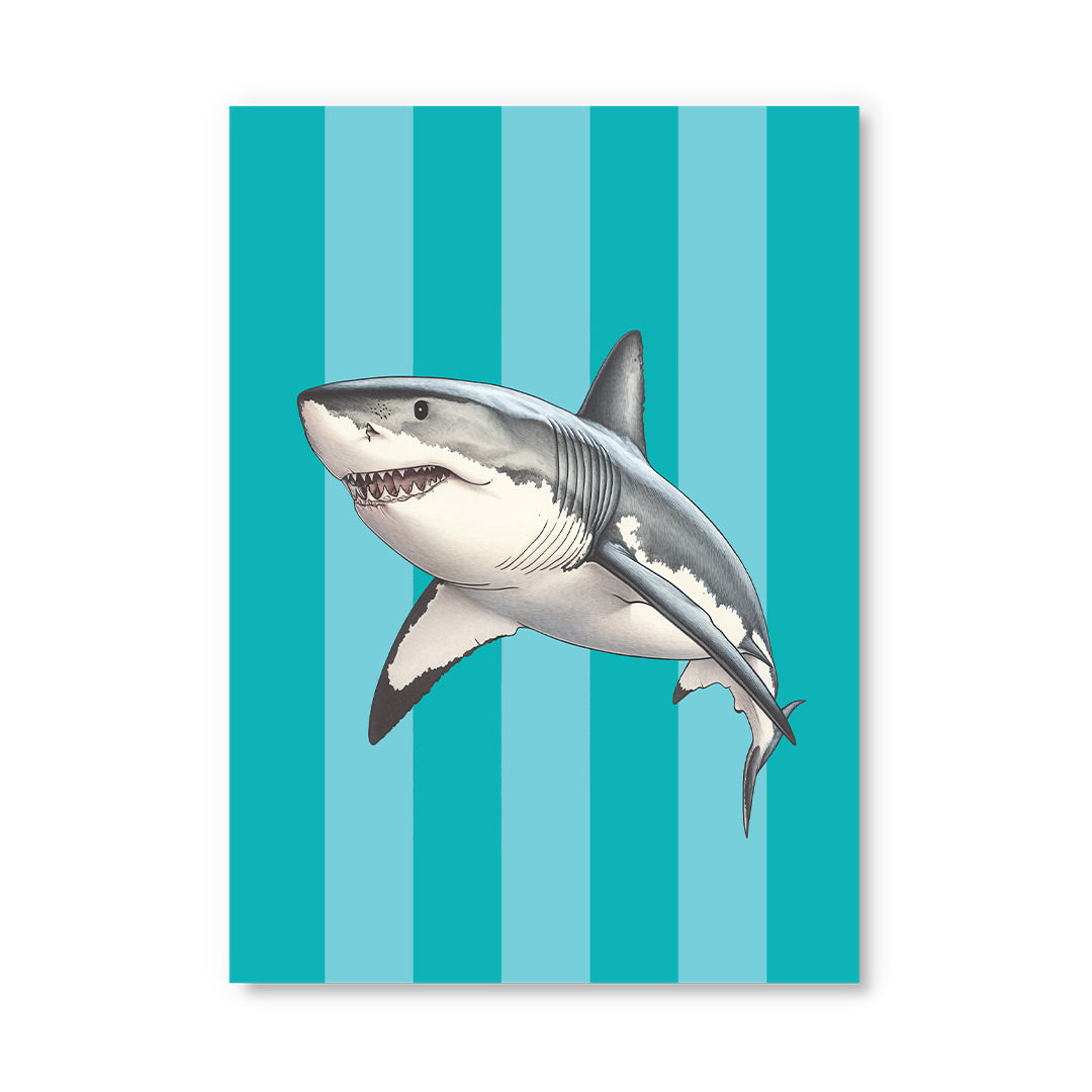Striped Shark Postcard – Ohh Deer